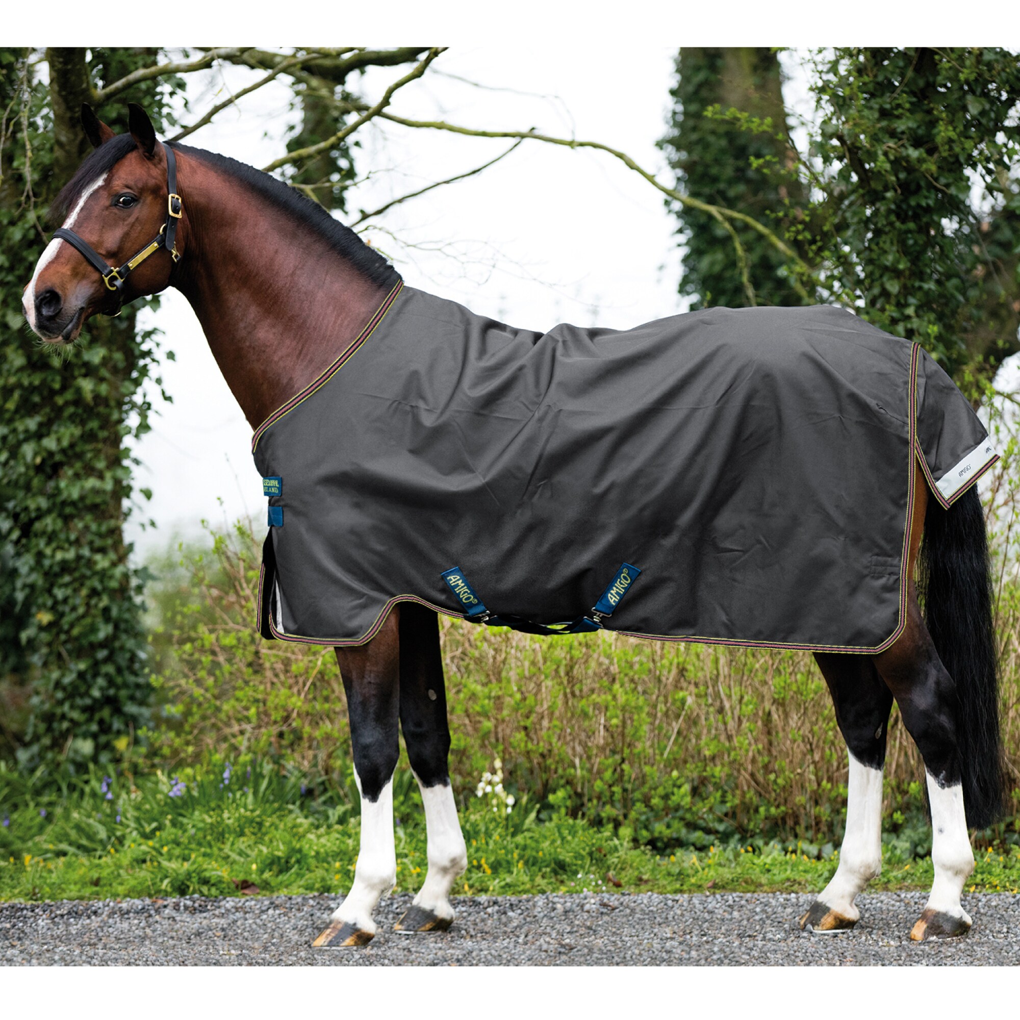 Horseware Amigo Bravo 12 Plus Utet cke Lite 0g Www finntack se Horseware Amigo Bravo 12 Plus Utet cke Lite 0g Www finntack se