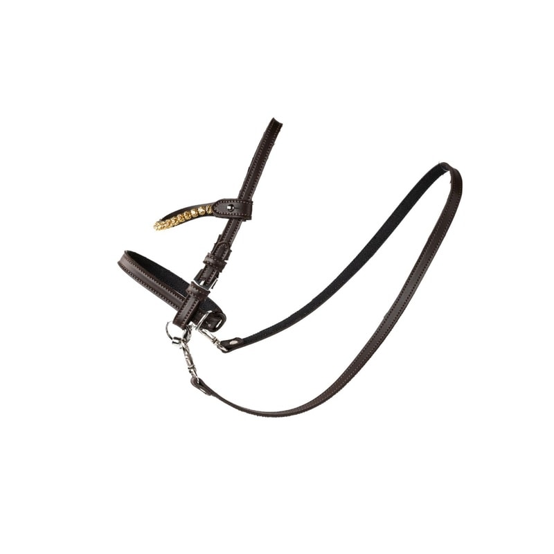 My Hobby Horse-träns brunt, med guldsten - www.finntack.se - Finntack