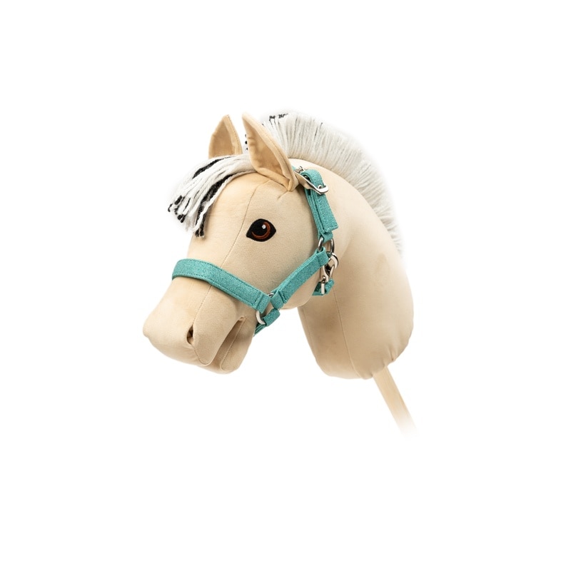 Min Hobby Horse-kapsun - Finntack