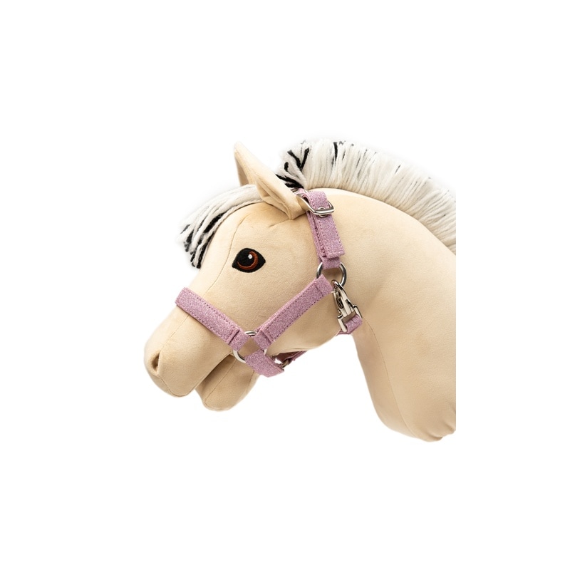 Min Hobby Horse-kapsun - Finntack