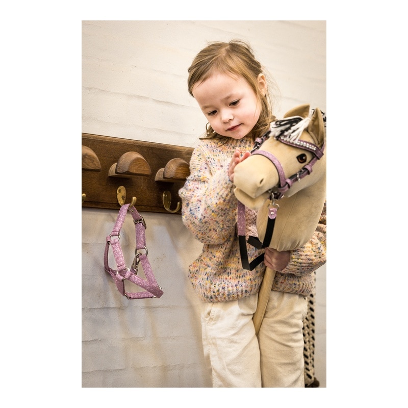 Min Hobby Horse-kapsun - Finntack