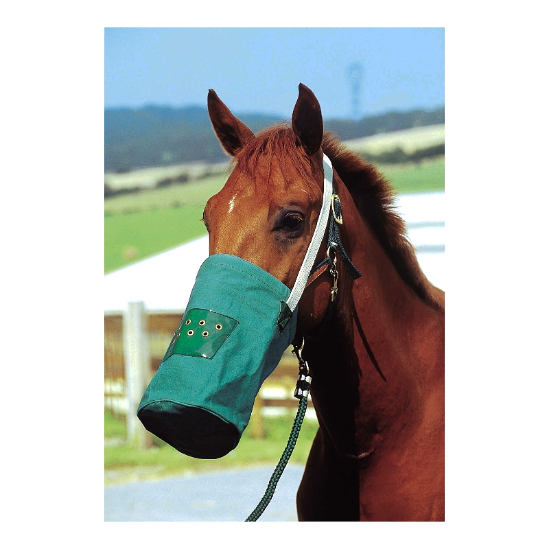 HIPPOTONIC Feed bag, canvas - Finntack